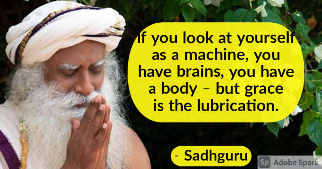 30 Sadhguru Quotes That'll Change Your Life (Jaggi Vasudev) - TheTotal.Net